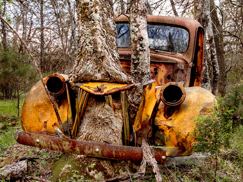 River Clay Fine Arts Festival | Cara Fuller